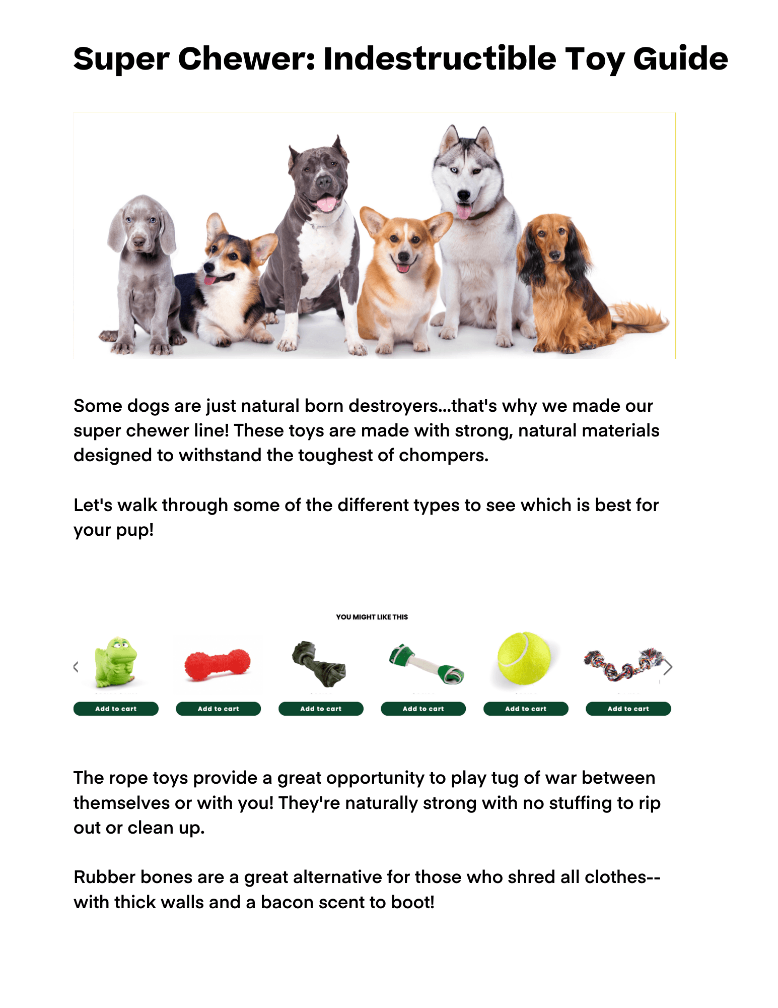 16 Strategies for Animal & Pet Care E-Commerce Brands In 2025 ...